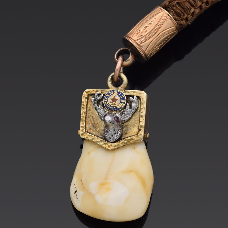 Antique GF Ruby & Elk Tooth Human Braided Hair Pocket Pocket Watch Fob ...